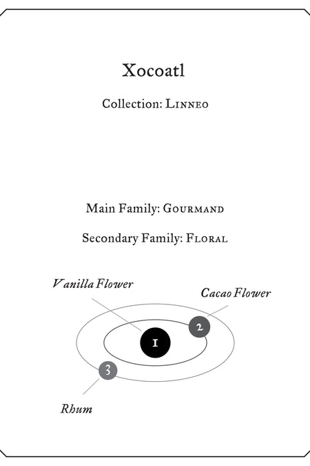 Xocoatl – FUEGUIA 1833 Japan Online